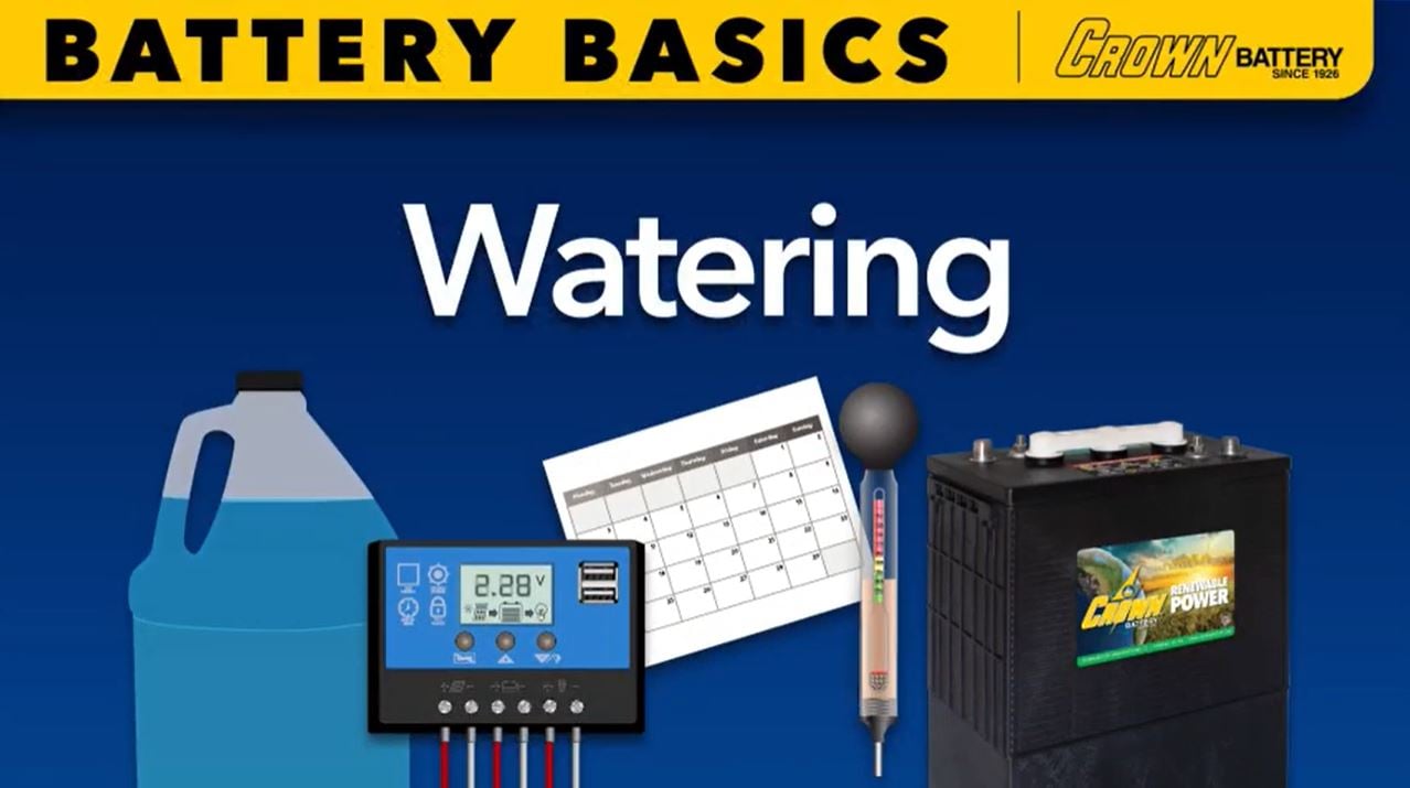 Battery Basics Watering